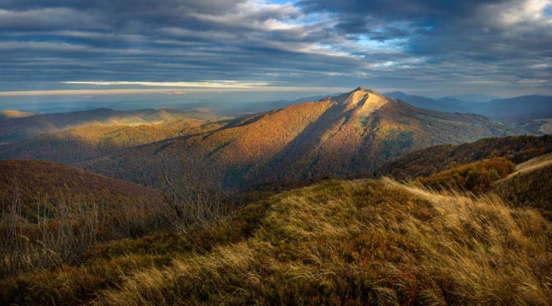 Jacek Deneka w Life and More